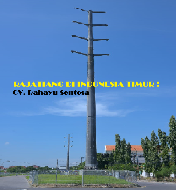 TIANG LISTRIK PLN - RAHAYU SENTOSA RAJANYA TIANG: TIANG BESI PLN JENIS ...