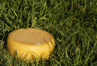 Free Range Cooking For Dummies: Cheese