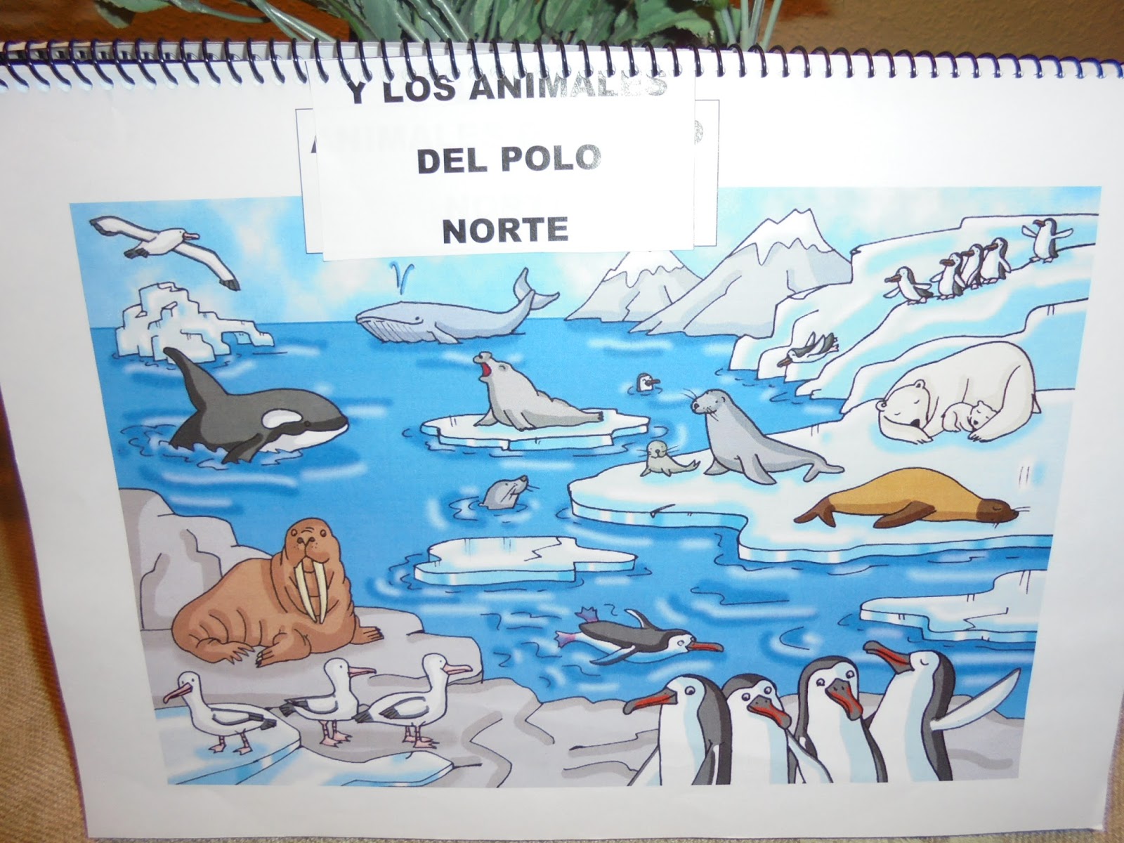 ABRACADABRA: MINIPROYECTO: "EL POLO NORTE"