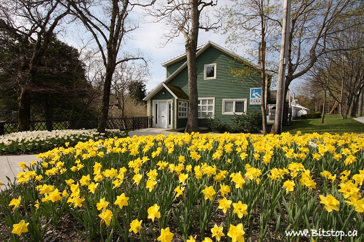 Bitstop: Spring in Bowring Park
