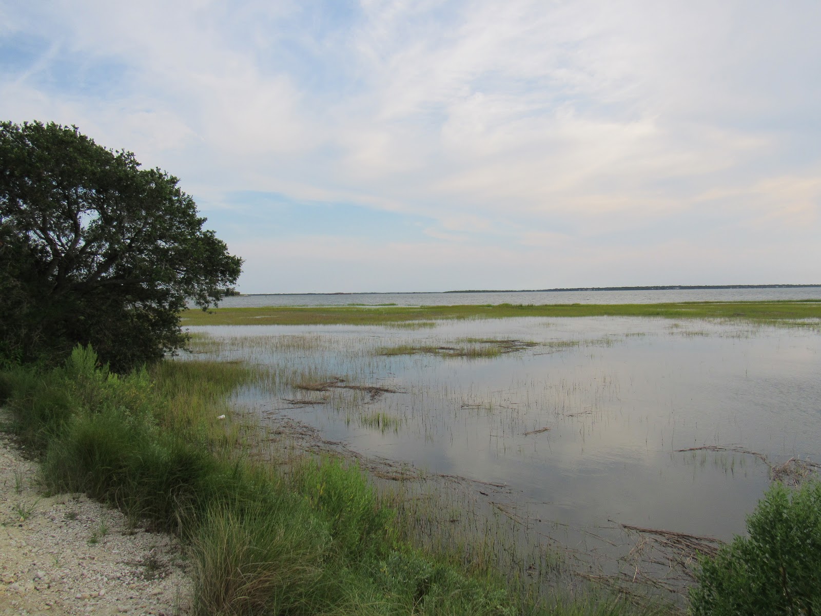 Exploring New Places: South Carolina's Salt Marshes and Tidal Creeks