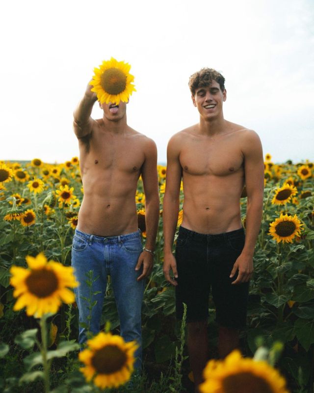 Favorite Hunks & Other Things: The Boisset Brothers: Sunflower Fields ...
