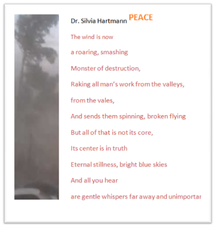 PEACE SUMMARY, FIGURE OF SPEECH, NOTES BY Dr. Silvia Hartmann ...
