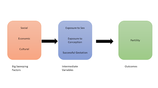 Intermediate Variable Framework Of Davis and Blake - Hamro Shikshyaa