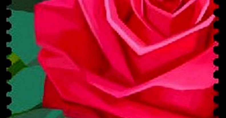 Gulfmann Flora Garden: ISRAEL ~ Roses