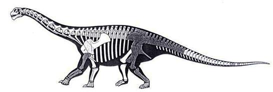 Blog de la Vida Prehistórica: Ferganasaurus