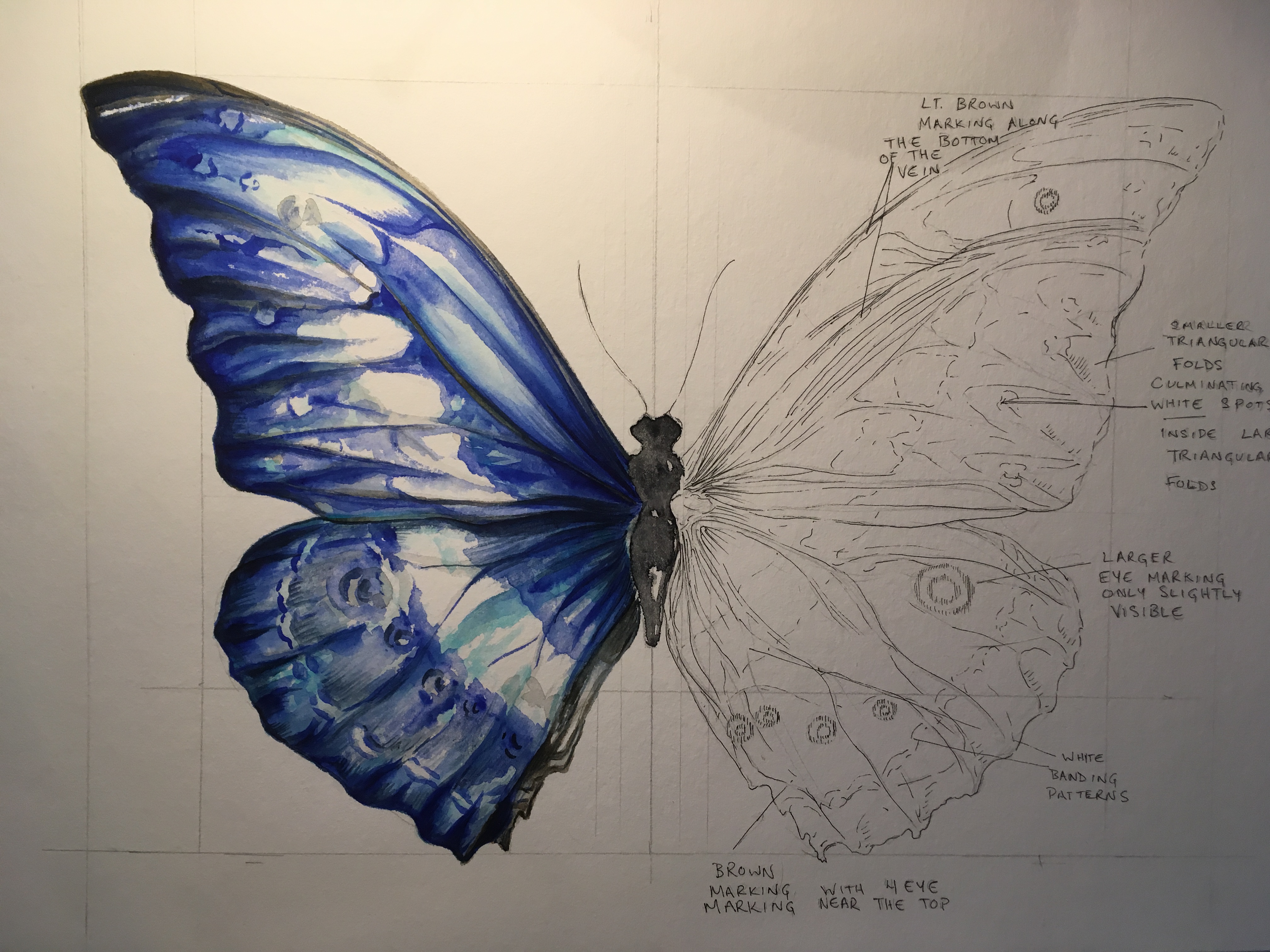 Butterfly - step by step process pictures