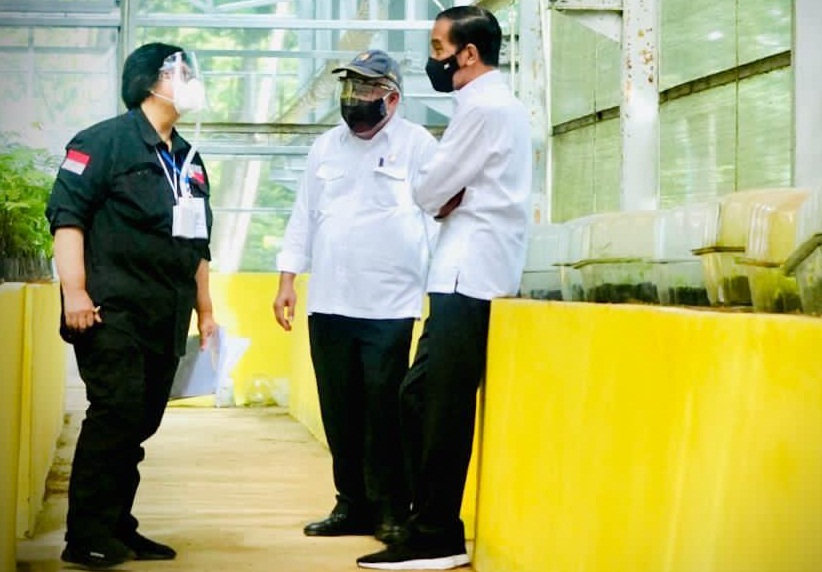 Pusat Sumber Benih dan Persemaian Rumpin Mulai Produksi 2021 - Jakarta ...