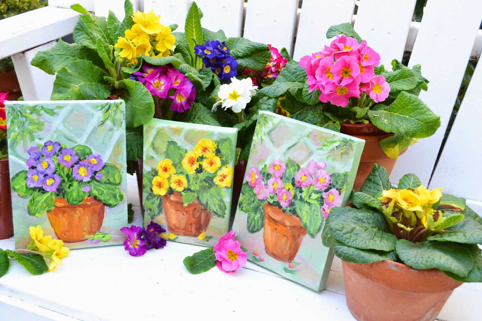 My Painted Garden: Winter Primroses - Here - There - Everywhere