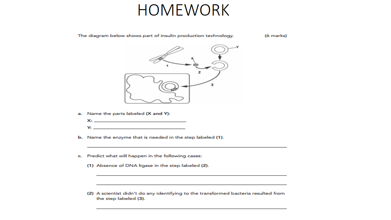 Grade 12: DISTANCE LEARNING