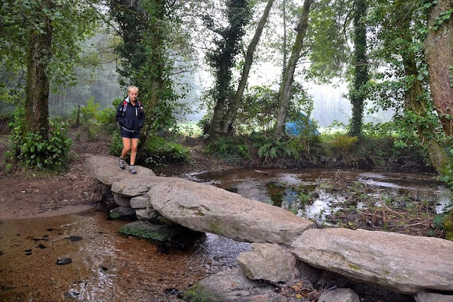 El Camino de Santiago desde Asturias: "Boente"