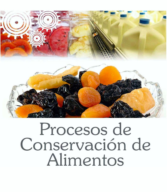Ingenieria y Tecnologia de los Alimentos: Procesos de Conservacion de Alimentos - Juana ...
