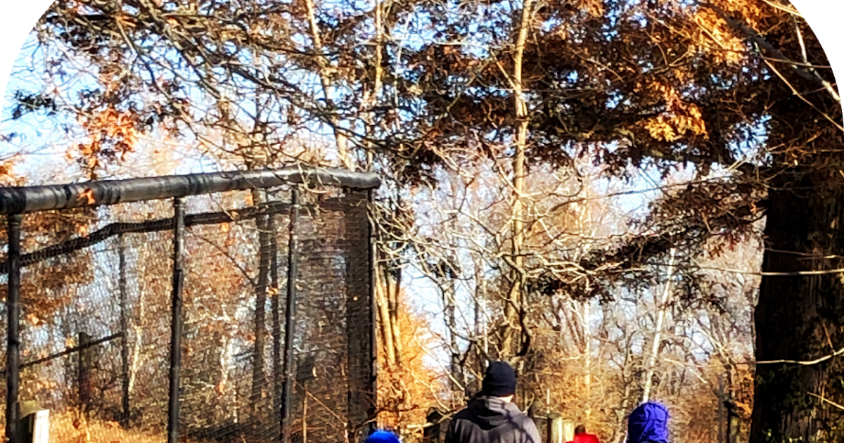 A Bit of the Blarney: The Zoo In Winter