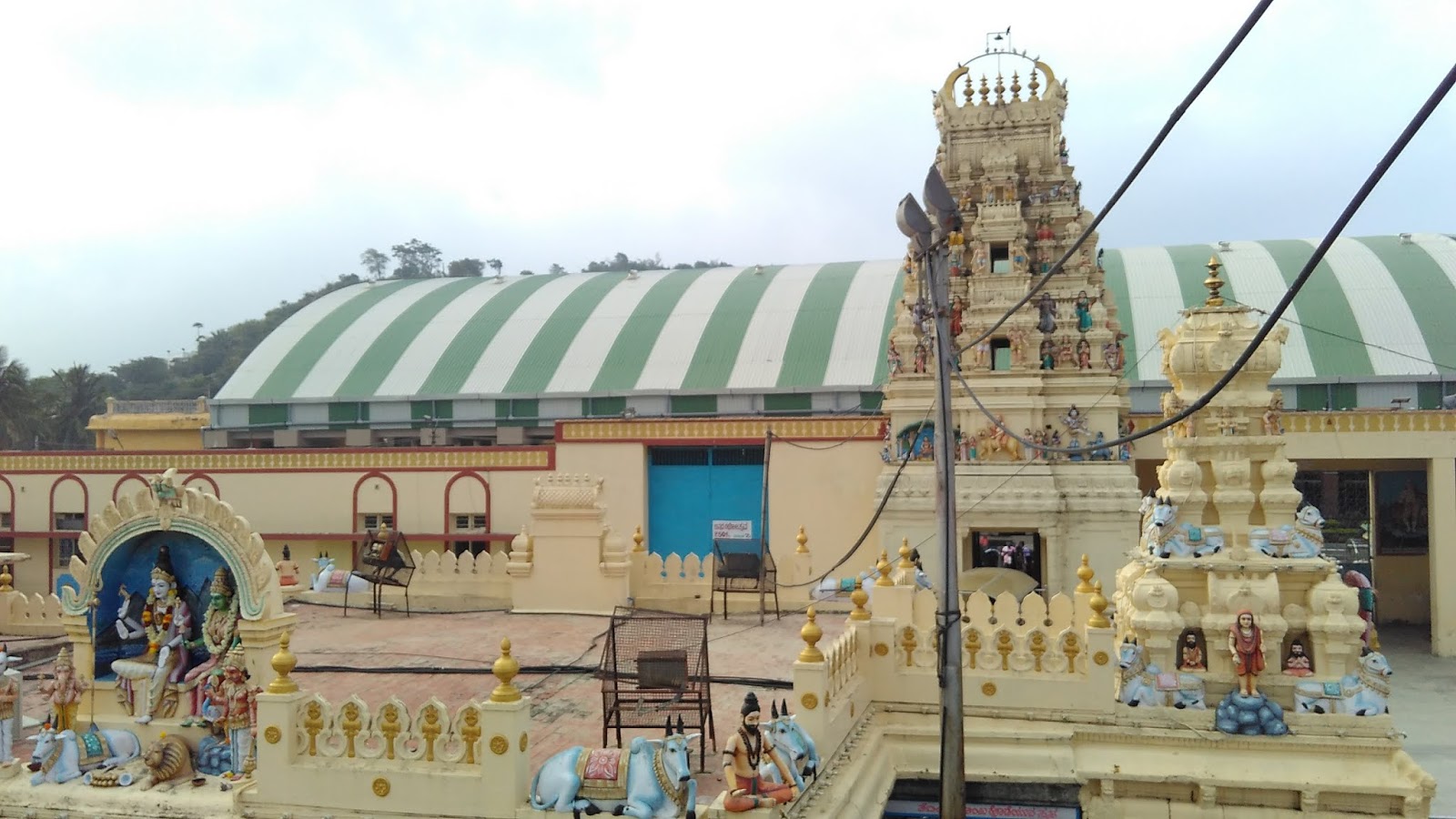 Male Mahadeshwara betta (MM.Hills)