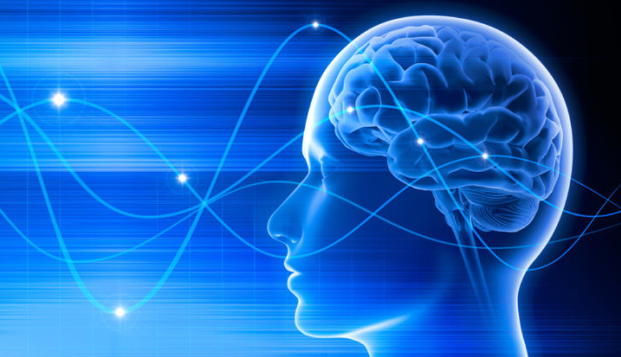 Laxmi Homeo Clinic: Brain and its disorders