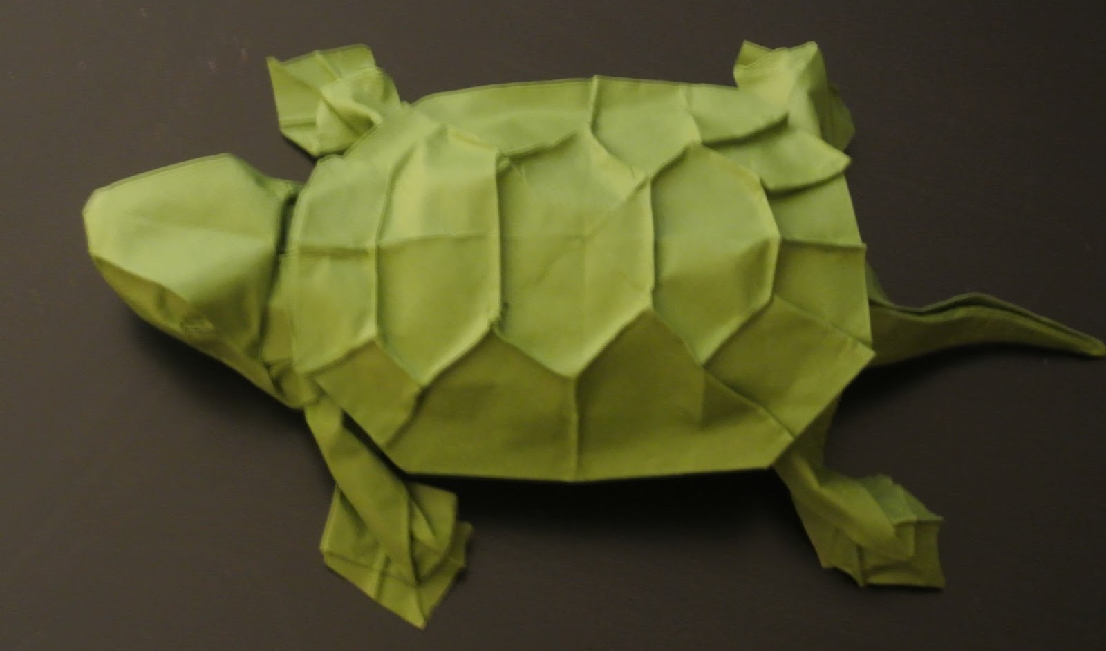 The Midnight Carver: Wet Folding Cardstock Origami Turtle.