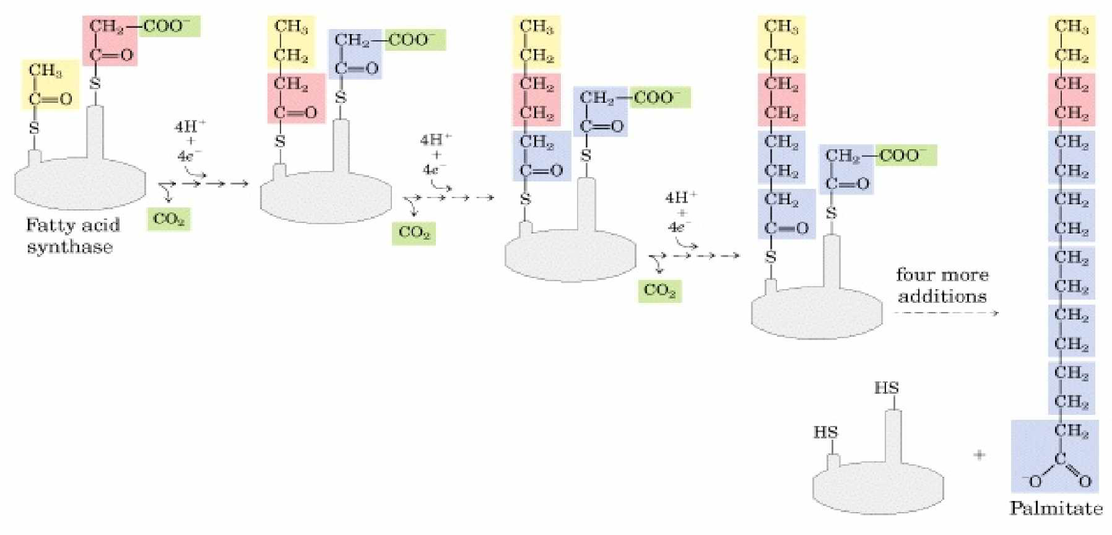 HERE IS NOT MY HOMETOWN