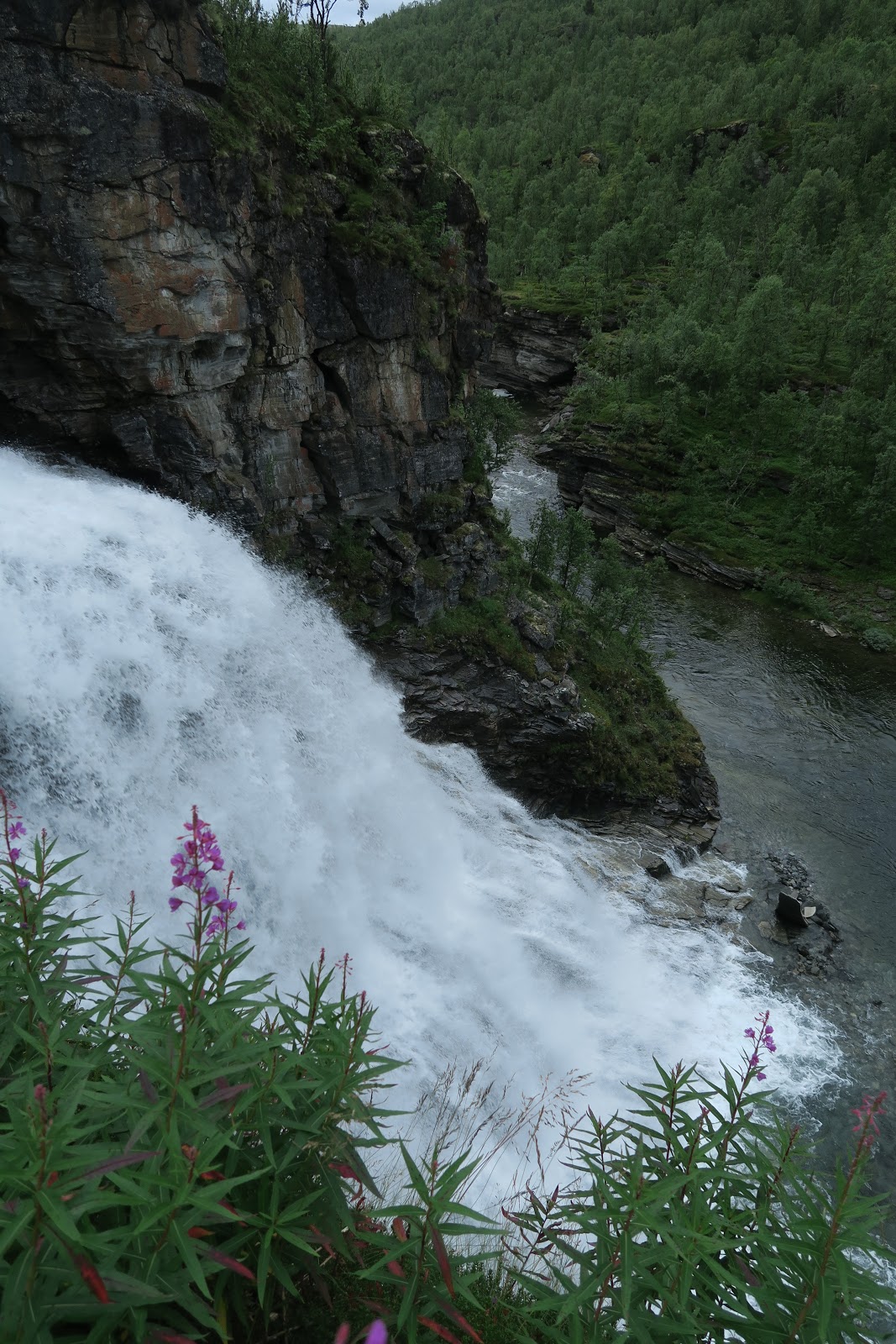 Naruskan Tukikohta: Norjasta takas Naruskan kairasa.