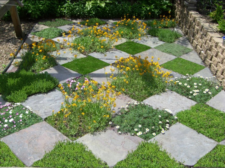 The Checkerboard Garden