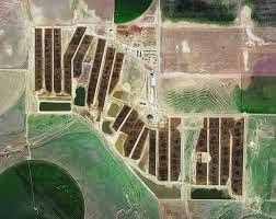 Texas Panhandle Feedlot: Structural Importance of Feedlots