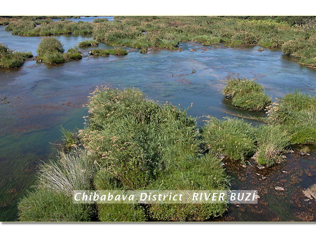 Moçambique - Sofala - Chibabava,road EN 1 and River Buzi