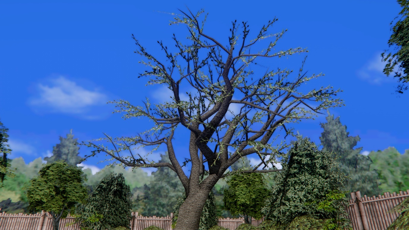 Shenmue Theory: Sakuragaoka's Best-Kept Secret | Guest Post by James Brown