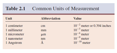Microbiology Notes: The Study of Microbial Structure : Microscopy and ...