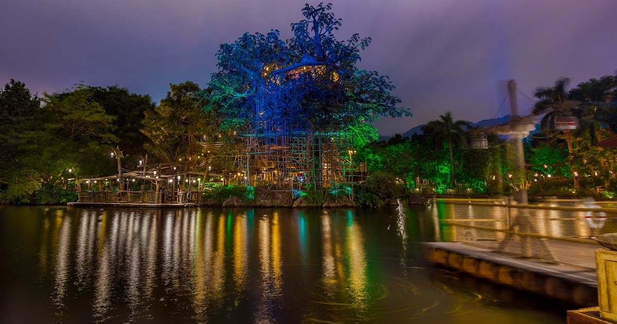 Treehouse on the Island