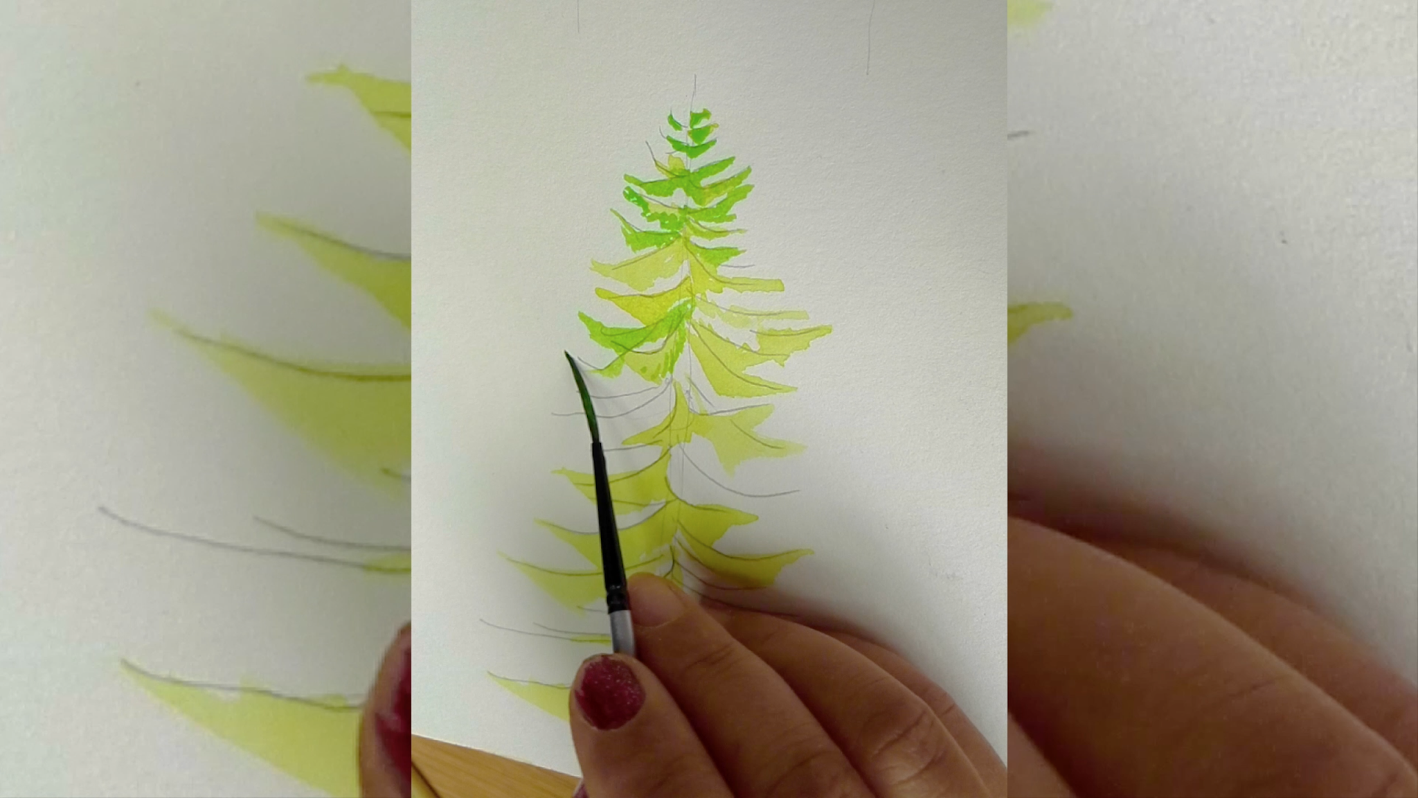 How to draw a pine tree step by step tutorial easy for begginer,come to ...