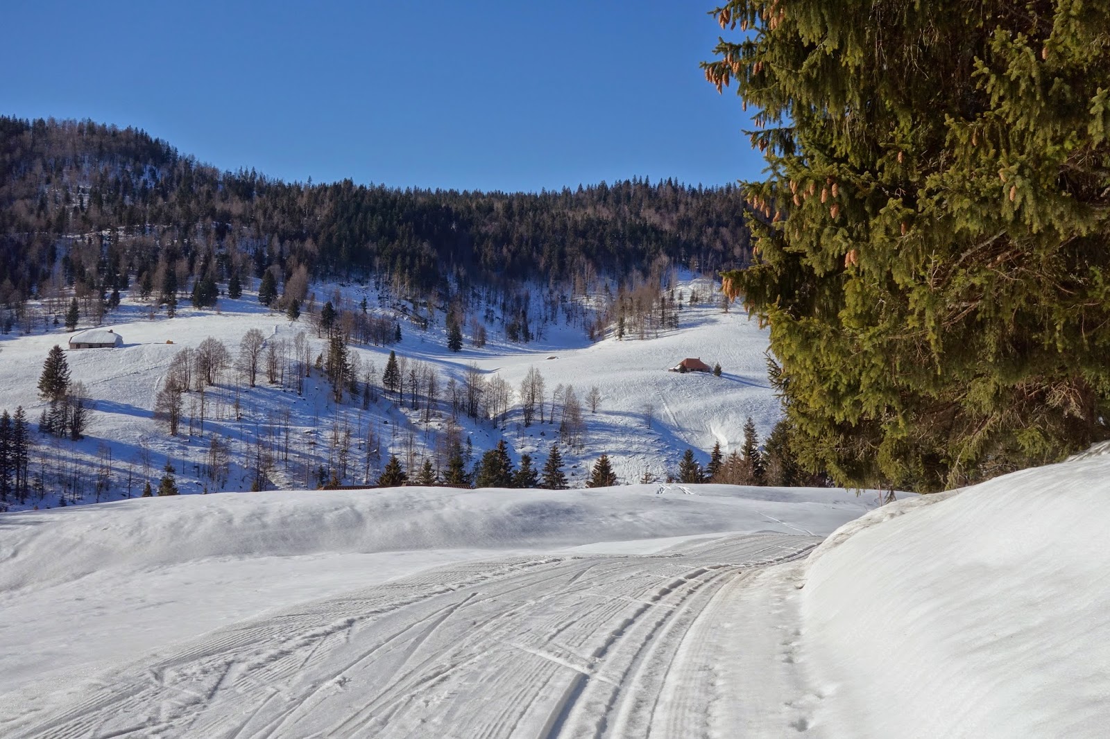 Elsasong: Mijoux, les environs