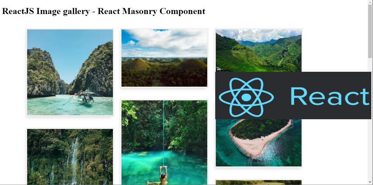ReactJS Image gallery - React Masonry Component | Tutorial101
