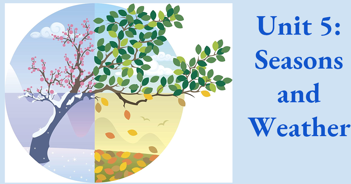 Weather And Seasons Liveworksheets