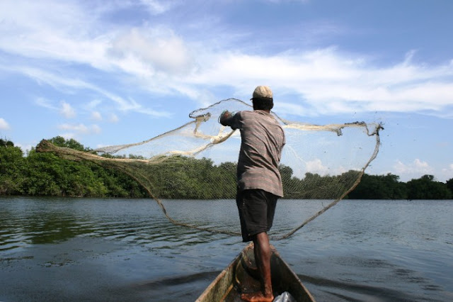atarraya para la pesca