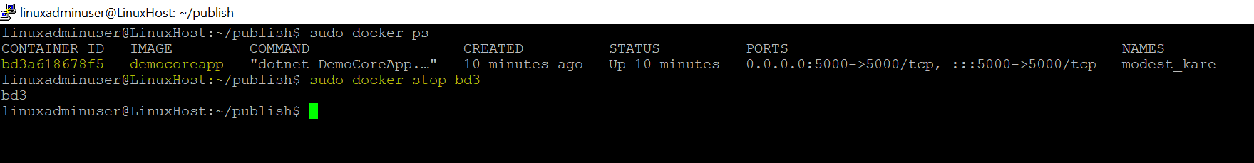 Aspiring Architect Containerizing Asp Core Application On A Linux Host