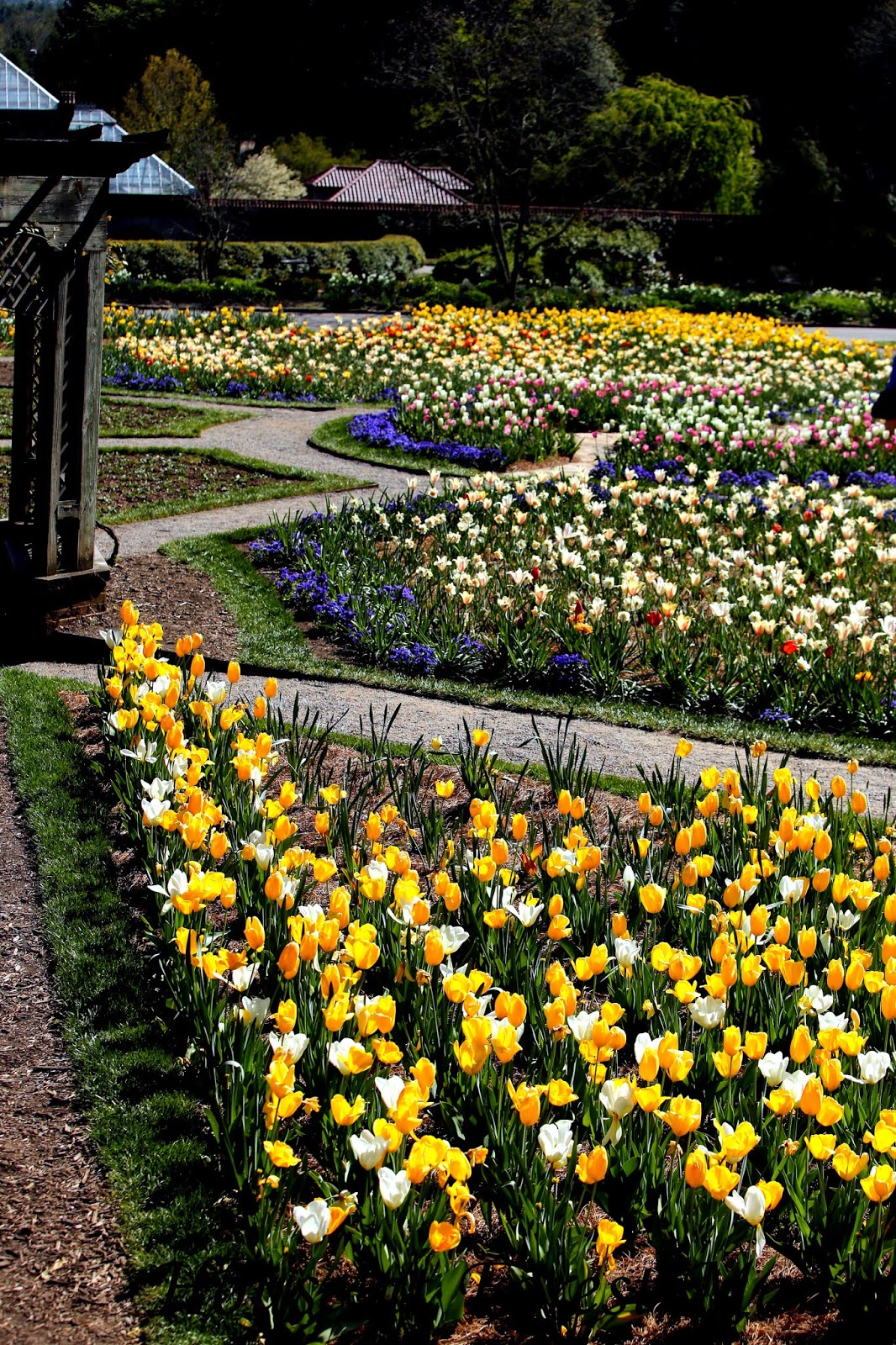House at Forest Manor: Spring Beauty -- Biltmore Gardens 2016