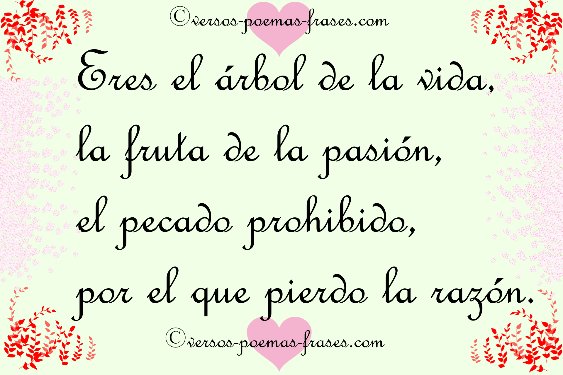 VERSOS Y POEMAS DE AMOR.: POEMAS CORTOS DE AMOR 3 VERSOS Y POEMAS DE AMOR.: POEMAS CORTOS DE AMOR 3