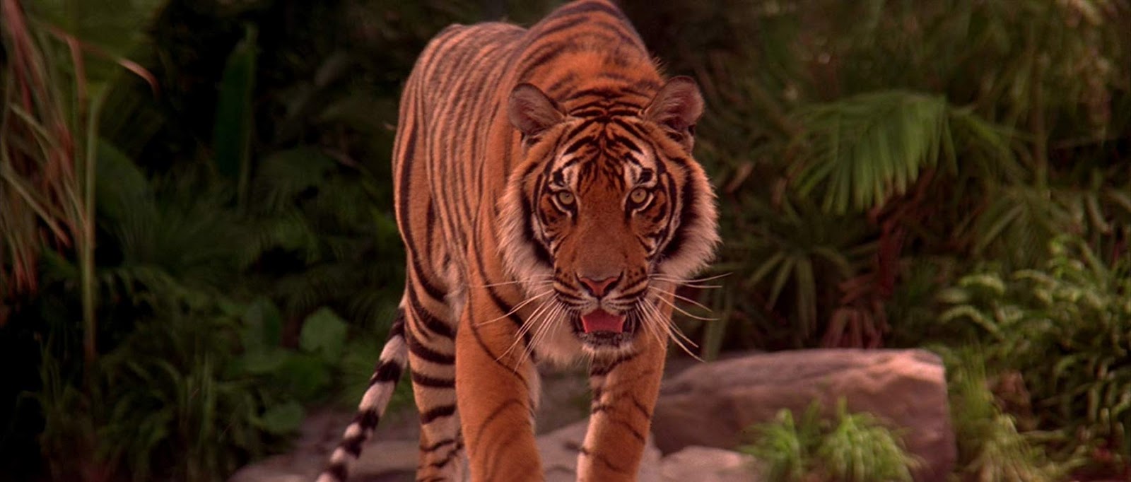 Mr. Movie: Rudyard Kipling’s The Jungle Book (1994) (Movie Review)