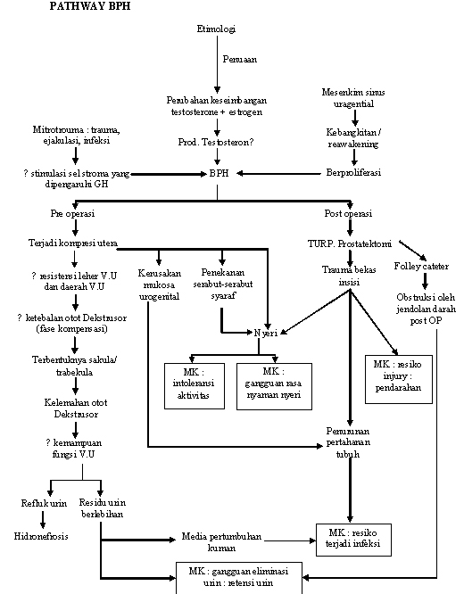ASKEP BPH