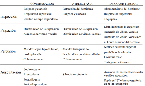 EXPLORACIÓN DE TÓRAX
