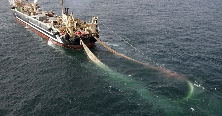 Mengapa Penggunaan Pukat Harimau Dilarang? | Belajar Sampai Mati