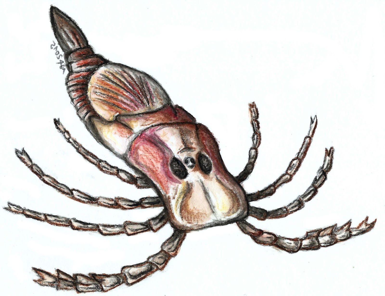 viventibus esse: Megarachne – najväčší pavúk, ktorý nikdy nebol