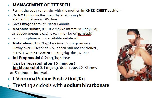 Histology Slides Database: Management Of Tet Spell