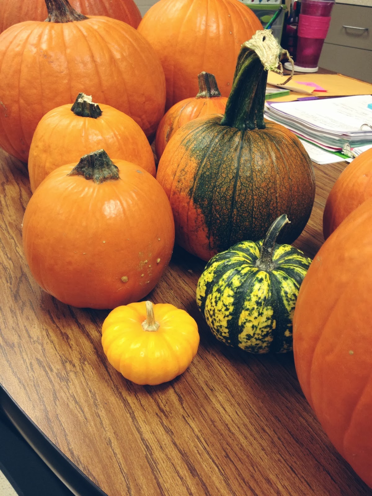 Simply Second Grade: Pumpkin Unit Photos {Part 1} Plus a pumpkin freebie!