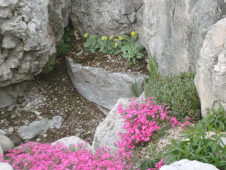Explore Colorado: Denver Botanic Gardens ~ Spring Flowers