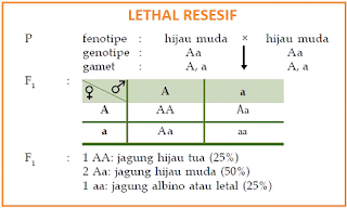 Gen Letal - #GENETIKA10 - GENEVOL