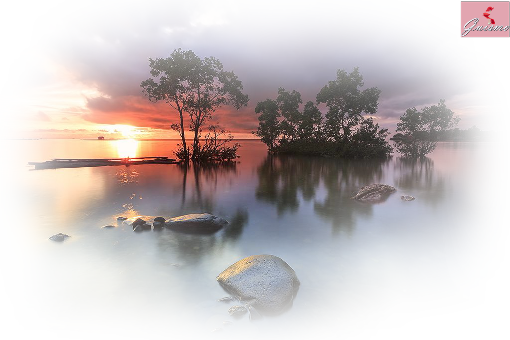 Tube Guismo la passion de créer .: MISTED LANDSCAPE