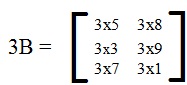 How To Multiply a Matrix By 2 | Scalar Matrix Multiplication