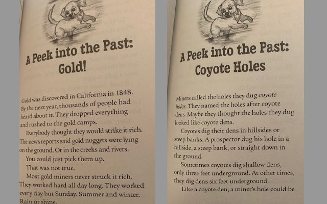 Cummins Life: Jem Strikes Gold and Jem's Frog Fiasco from Kregel ...