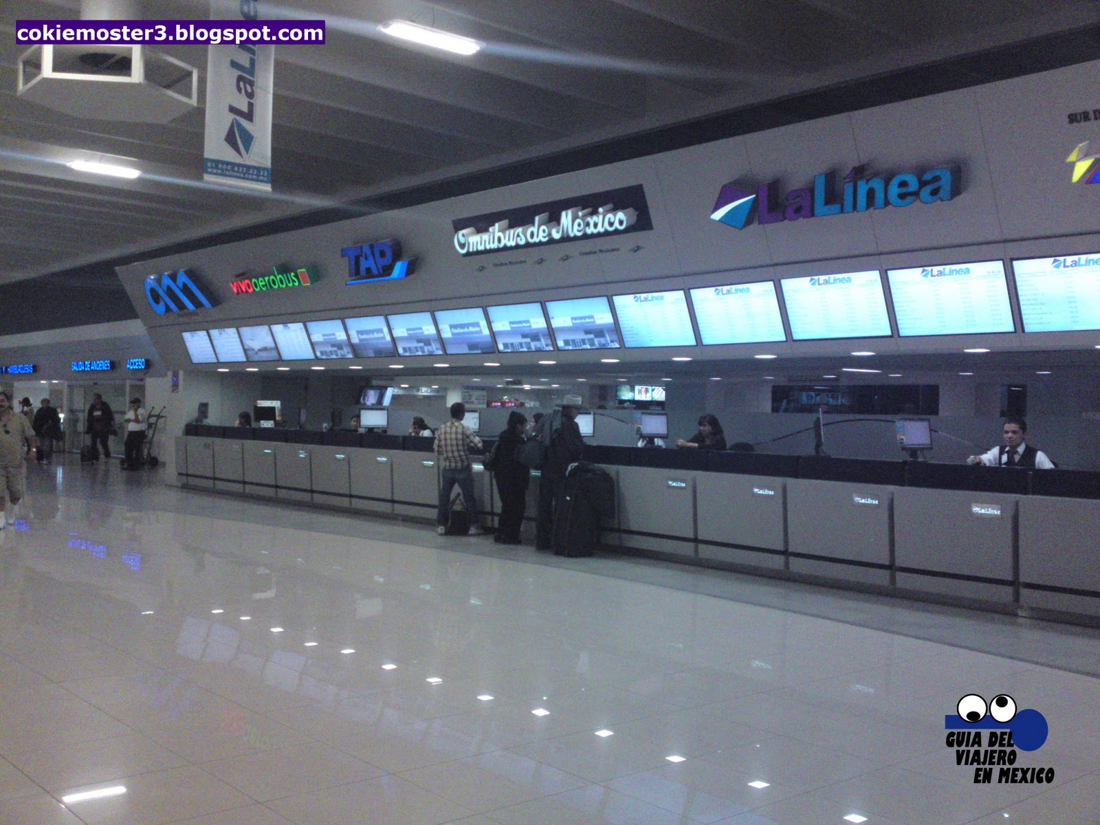 Transportes Publicos: ETN/Turistar Lujo