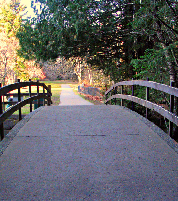 Everything Nanaimo: COLLIERY DAM PARK